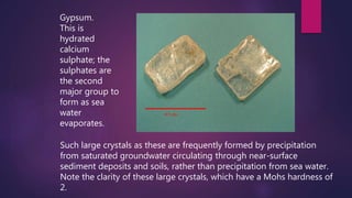 Clastic and Non-Clastic Sediments | PPTX