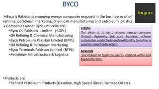 FINANCIAL RATIO ANALYSIS SHELL, PSO & BYCO | PDF
