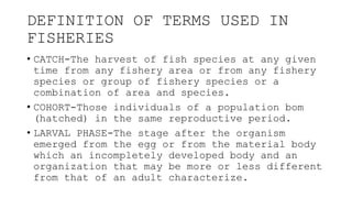 Group-6-Ecology-in-Multi-Species-Fisheries.pptx | Fishing Sports | Sports