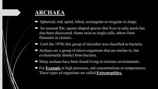 Microbes, diversity, discovery & development | PPTX