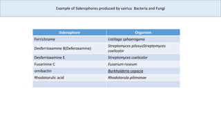 Siderophores and iron Uptake | PPTX