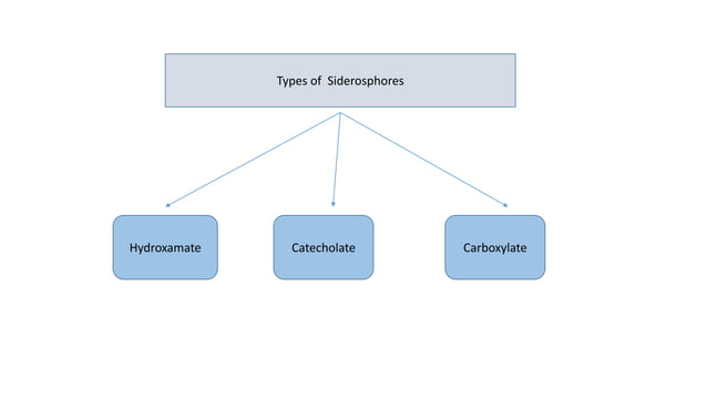 Siderophores and iron Uptake | PPTX