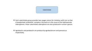 Siderophores and iron Uptake | PPTX