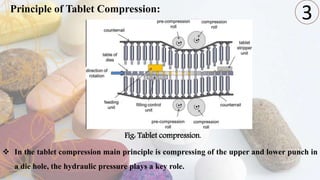 Effect of Compression Force on Tablet properties and Strength of Tablet ...