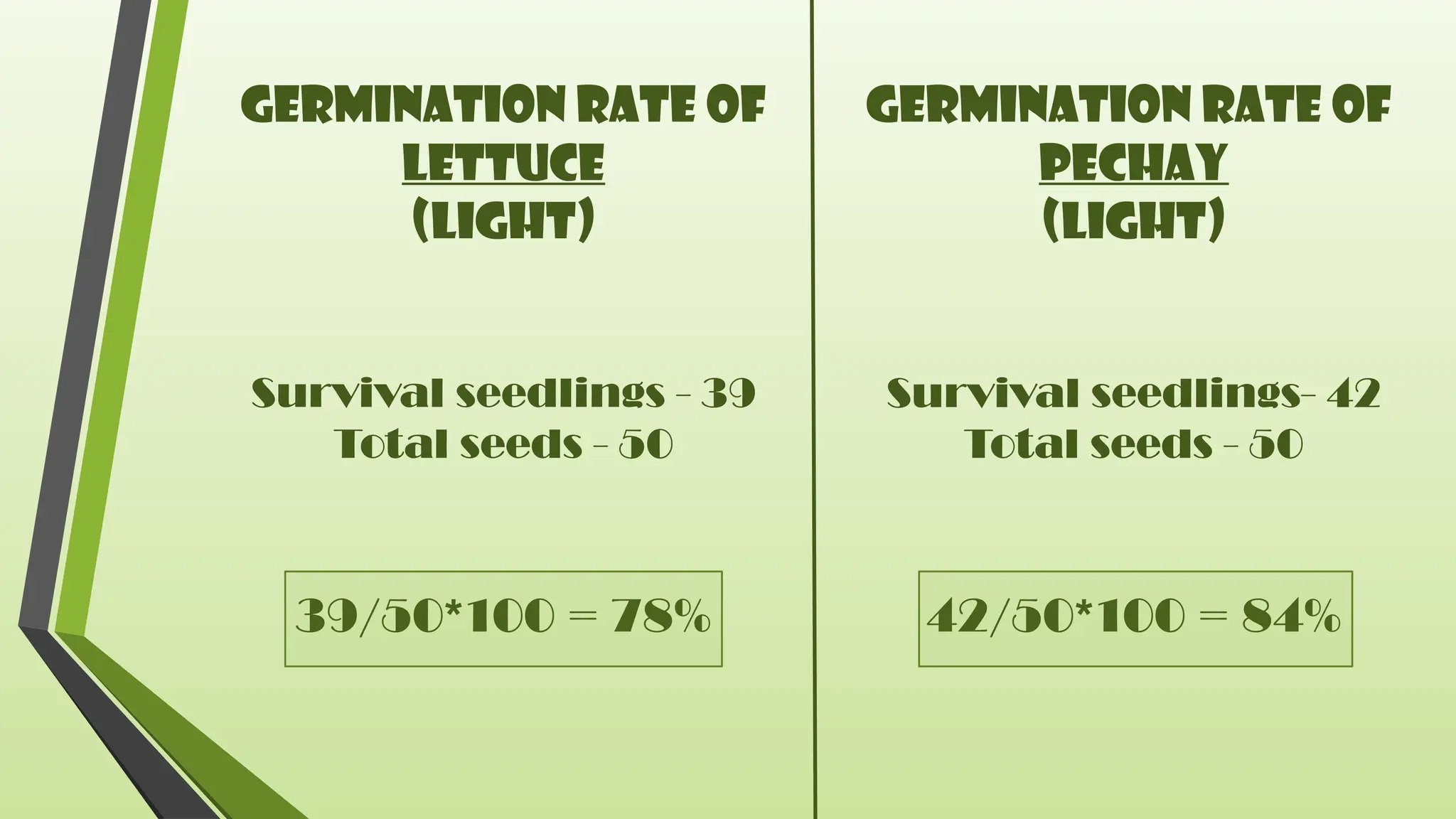 GROUP-B.-SEED-GERMINATION-LIGHT-and-DARK (1).pptx