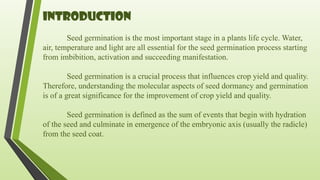 GROUP-B.-SEED-GERMINATION-LIGHT-and-DARK (1).pptx