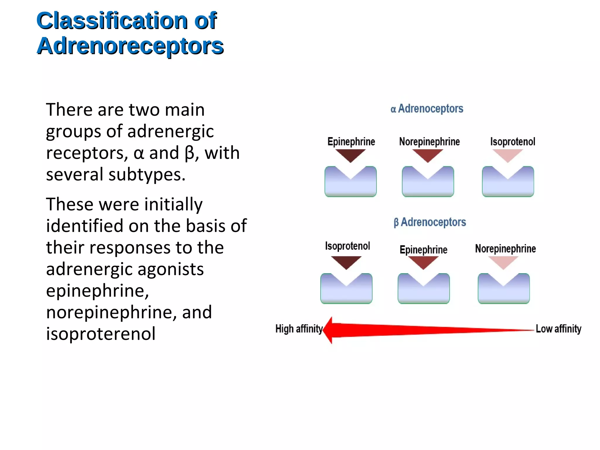 Sympathomimitic drugs (Epinephrine & Nor-epinephrine) | PPT