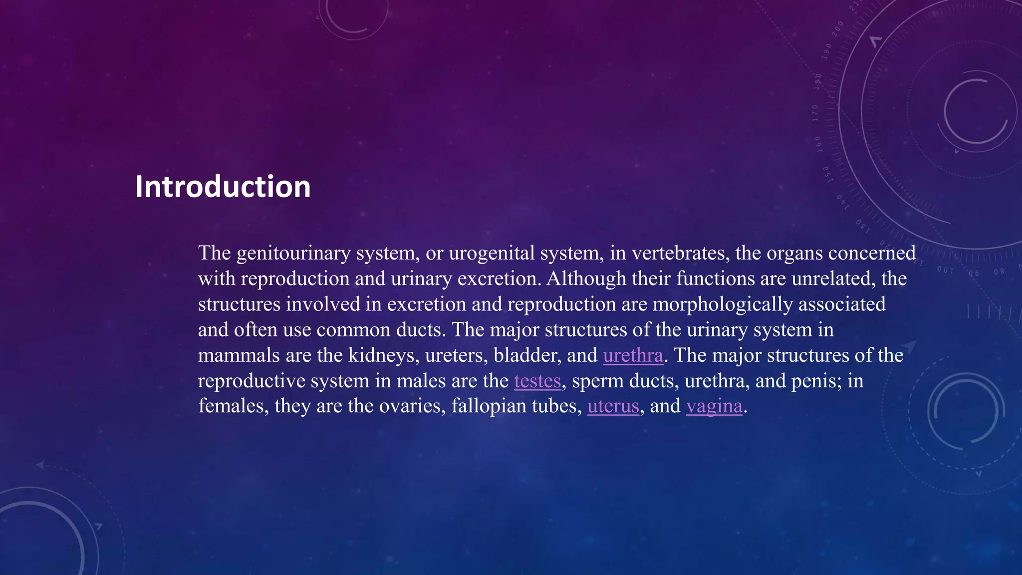 Genitourinary system | PPTX