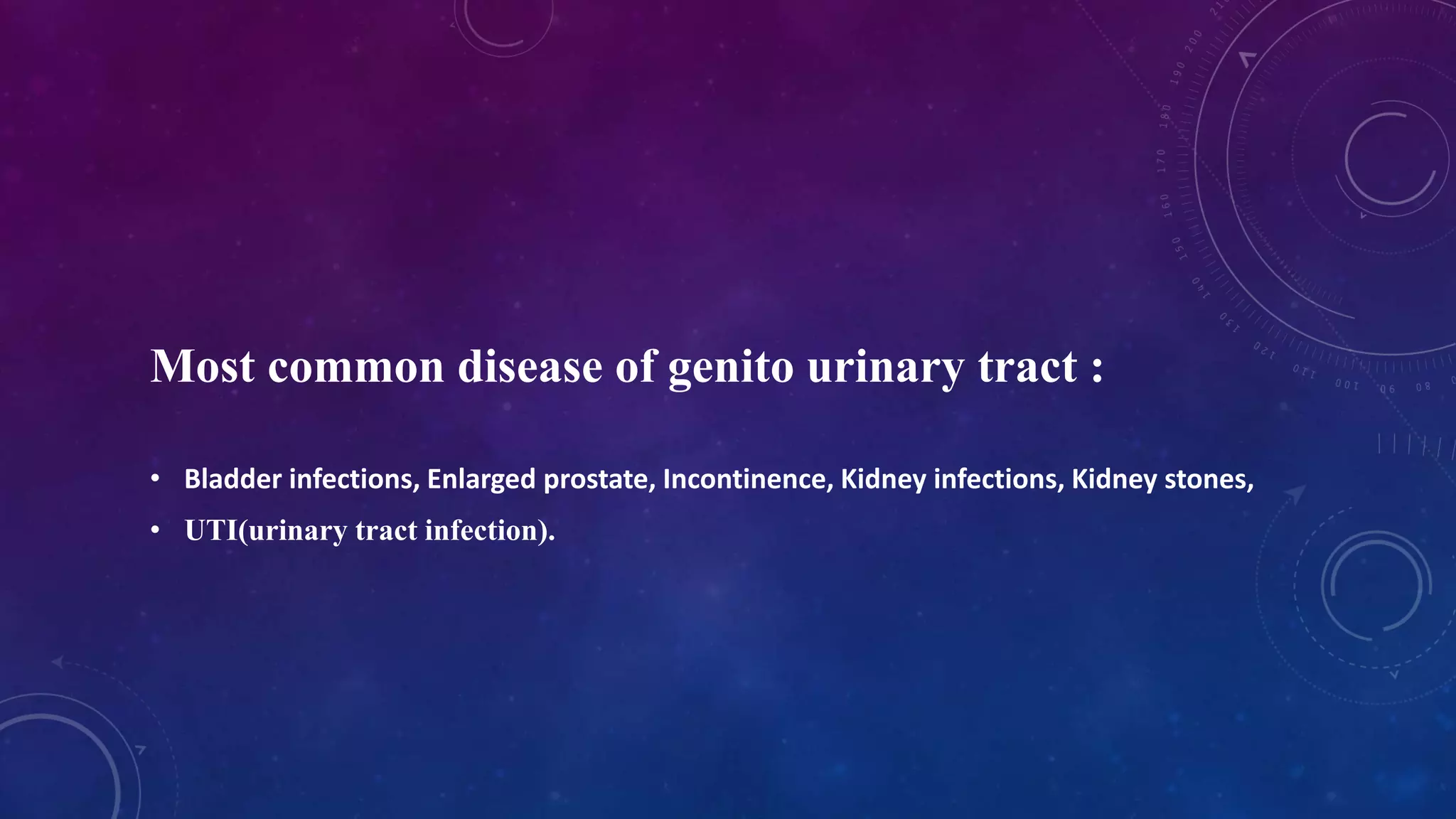 Genitourinary system | PPTX