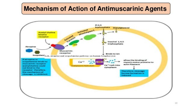 Antimuscarinic Agents