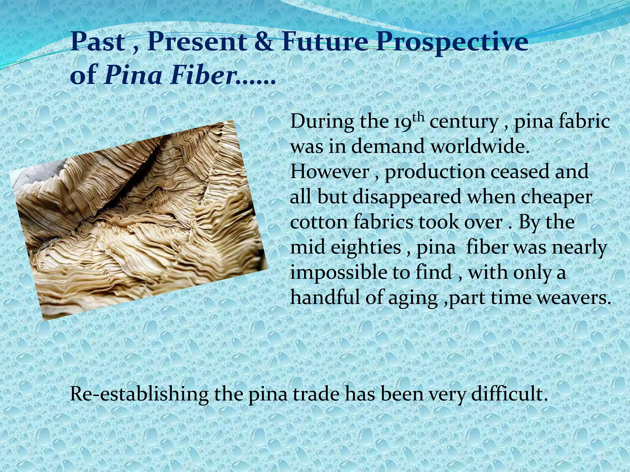 Pina Fiber | PPTX
