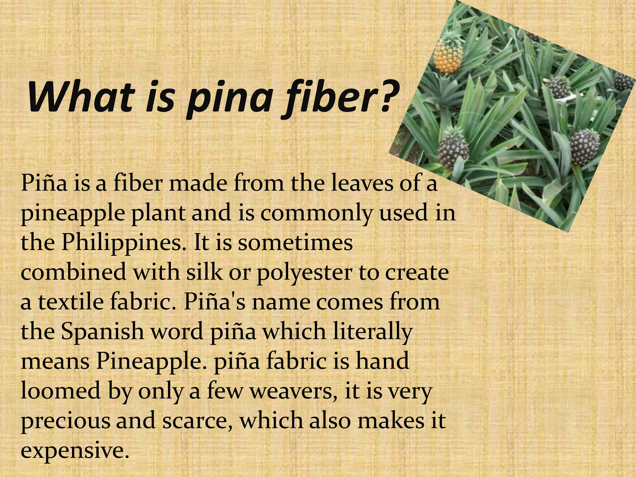 Pina Fiber | PPTX