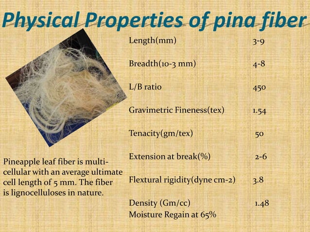 Pina Fiber | PPTX | Needlework | Arts and Crafts