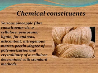 Pina Fiber | PPTX