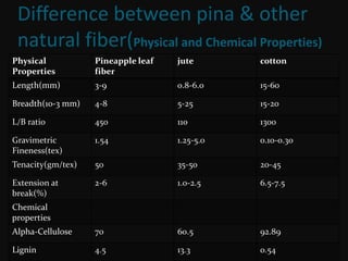 Pina Fiber | PPTX