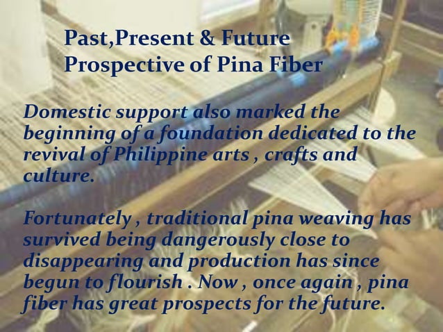 Pina Fiber | PPTX | Needlework | Arts and Crafts