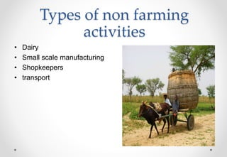 Non-farming activities in rural society.pptx