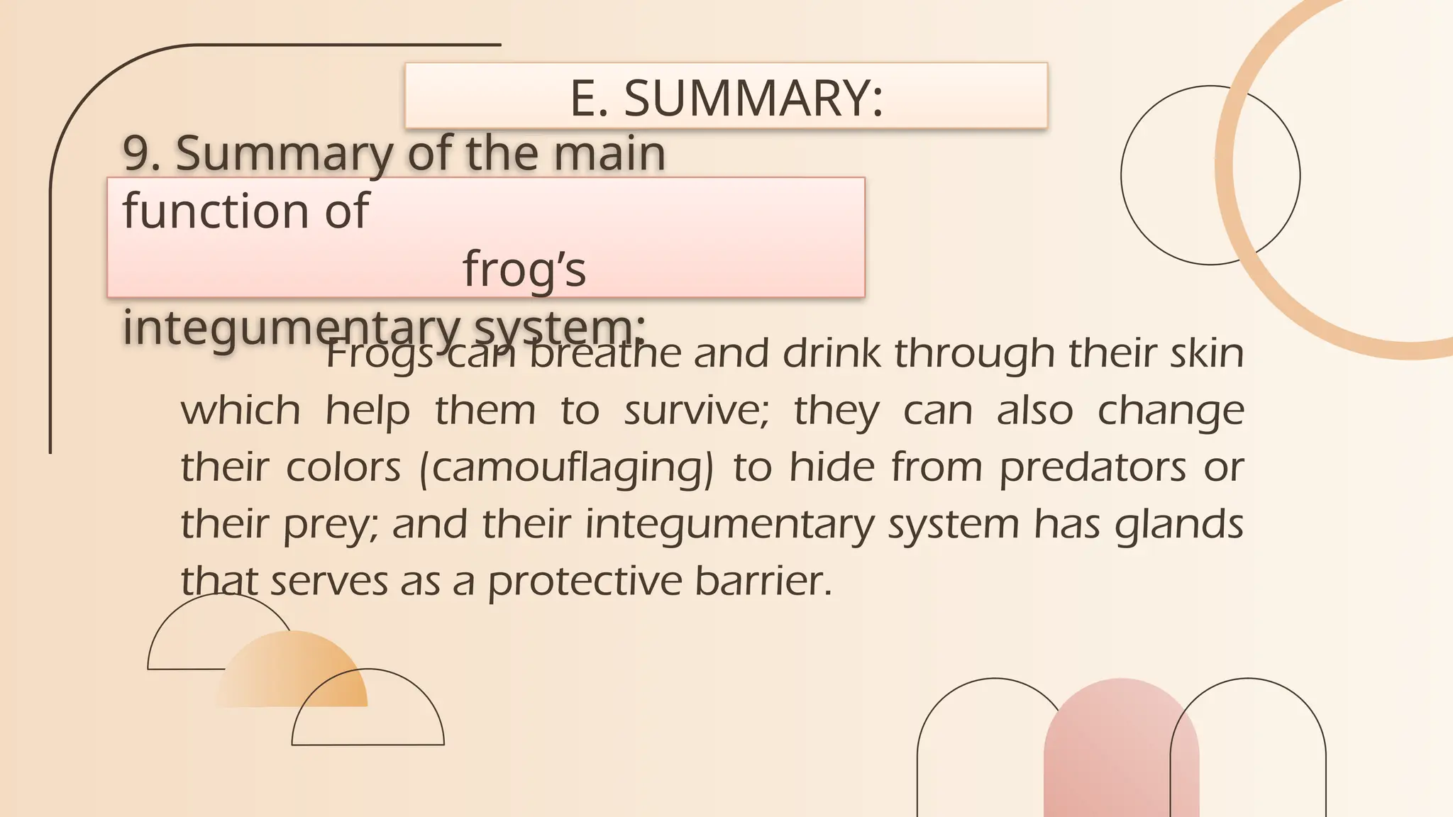Group Integumentary System - Largest Organ | PPTX