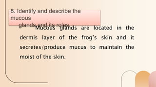 Group - Integumentary System.pptx
