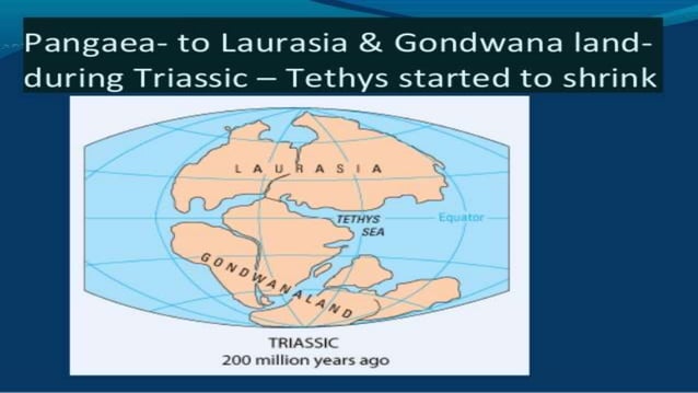 Study of the oceanic crust,origin and permanency of the ocean basin ...