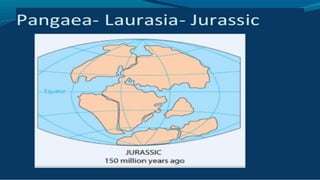 Study of the oceanic crust,origin and permanency of the ocean basin ...