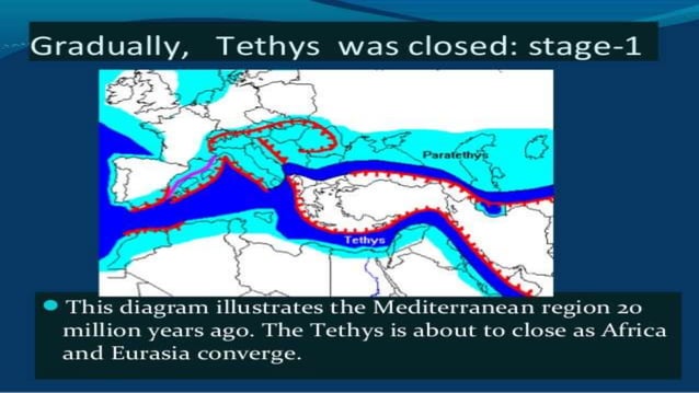 Study of the oceanic crust,origin and permanency of the ocean basin ...