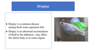 heredity fish disease | PPTX | Veterinary Medicine | Pets