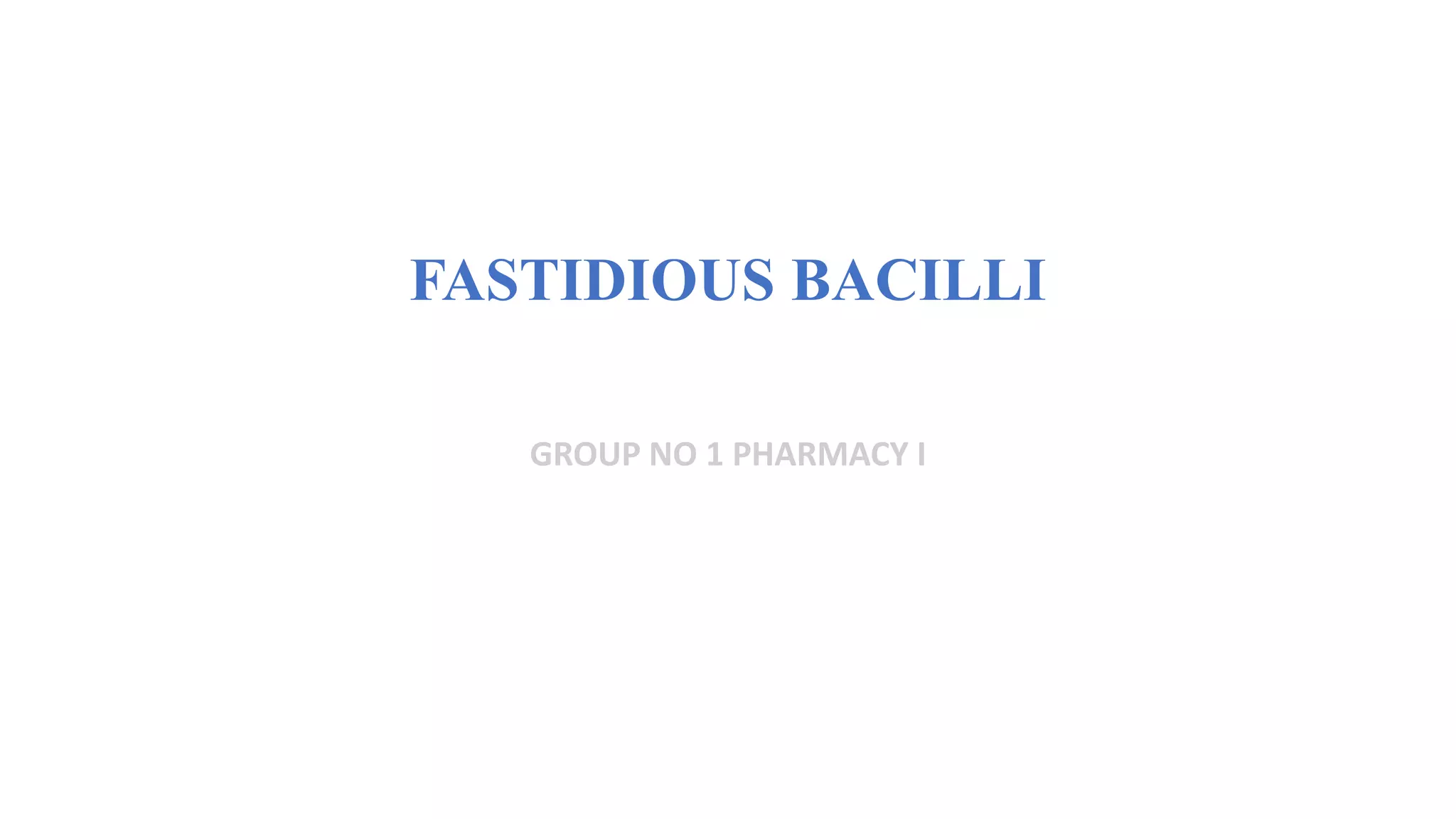 fastidious bacilli | PPTX