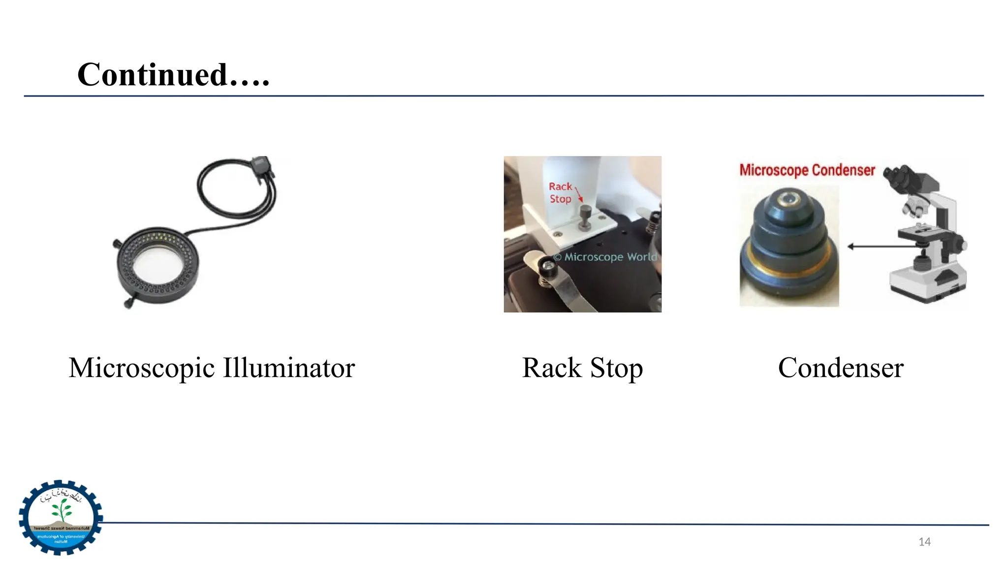 Group 01 presentation.pptx introduction to microscopy | PPTX