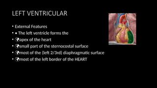 GROUP 01 PRESENTATION HEART ANATOMY.pptx