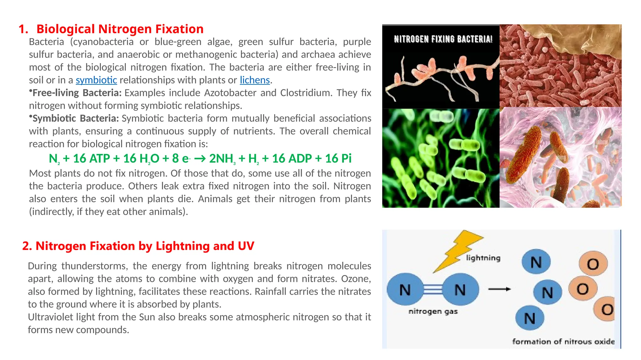 Conversion of nitrogen into ammonia and other nitrogenous compounds ...