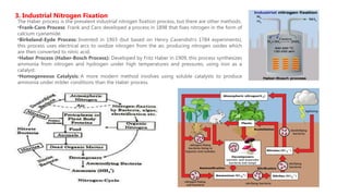 Conversion of nitrogen into ammonia and other nitrogenous compounds ...