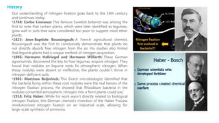 Conversion of nitrogen into ammonia and other nitrogenous compounds ...