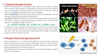 Conversion of nitrogen into ammonia and other nitrogenous compounds ...