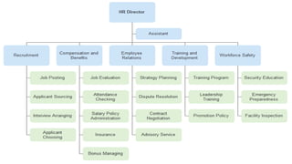 Organogram & layout of a spinning mill | PPTX