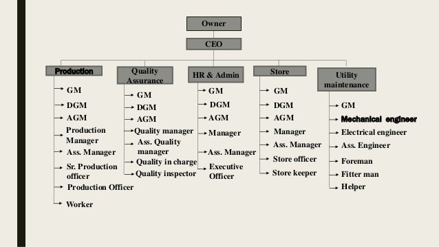 Organogram & layout of a spinning mill