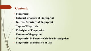 Group 04 (Fingerprint in Forensic presentation) (1).pptx