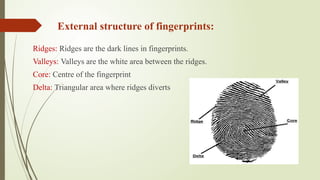 Group 04 (Fingerprint in Forensic presentation) (1).pptx