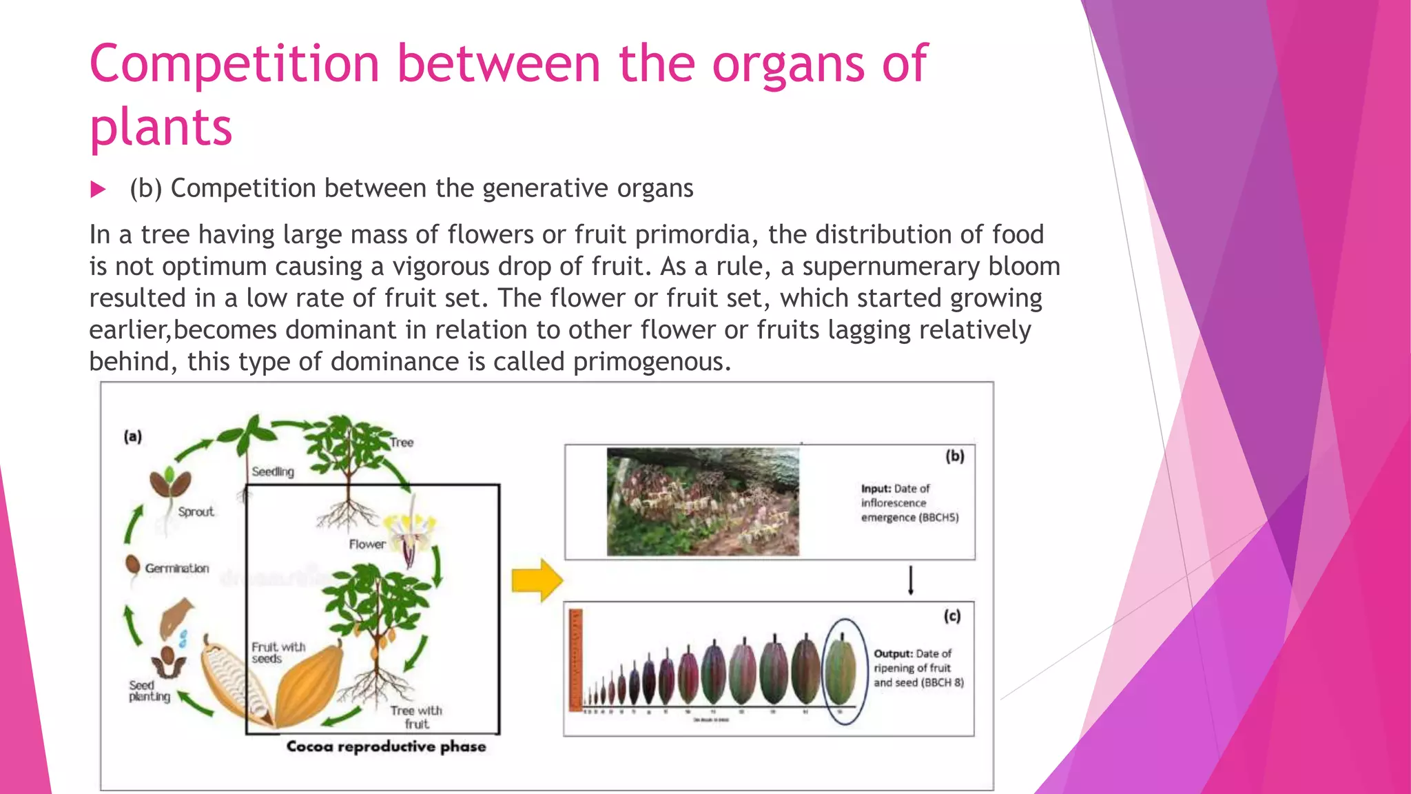 Fruit Drop its Causes and Measures to Control | PPTX
