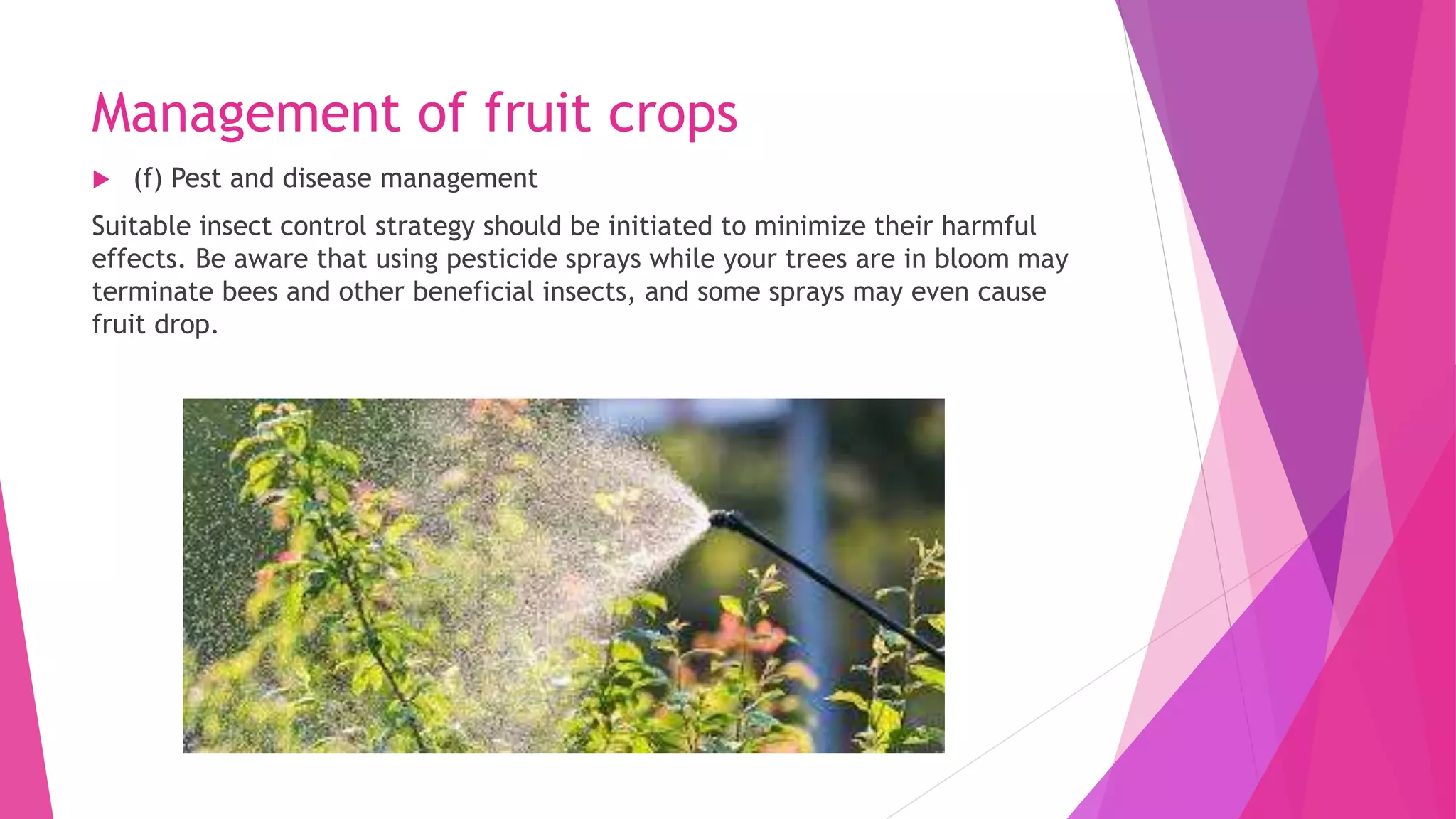 Fruit Drop its Causes and Measures to Control | PPTX