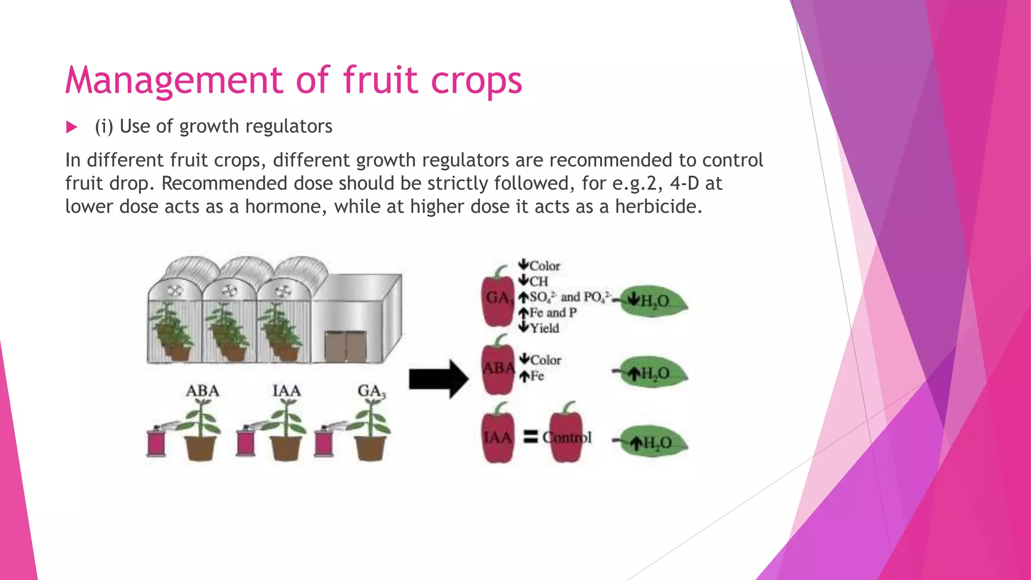 Fruit Drop its Causes and Measures to Control | PPTX