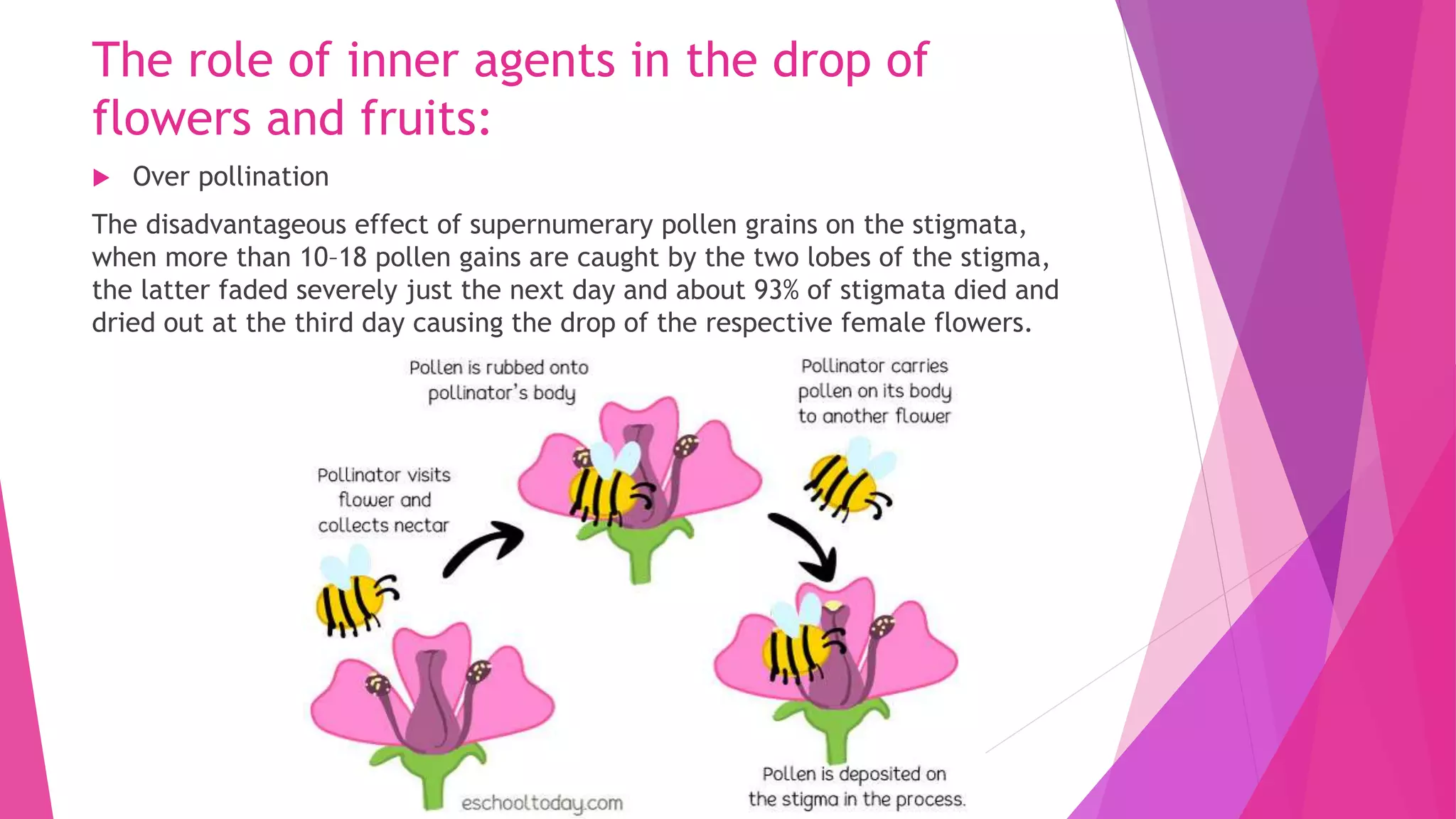 Fruit Drop its Causes and Measures to Control | PPTX