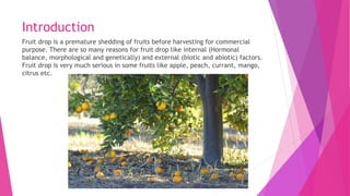 Fruit Drop its Causes and Measures to Control | PPTX