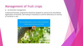 Fruit Drop its Causes and Measures to Control | PPTX
