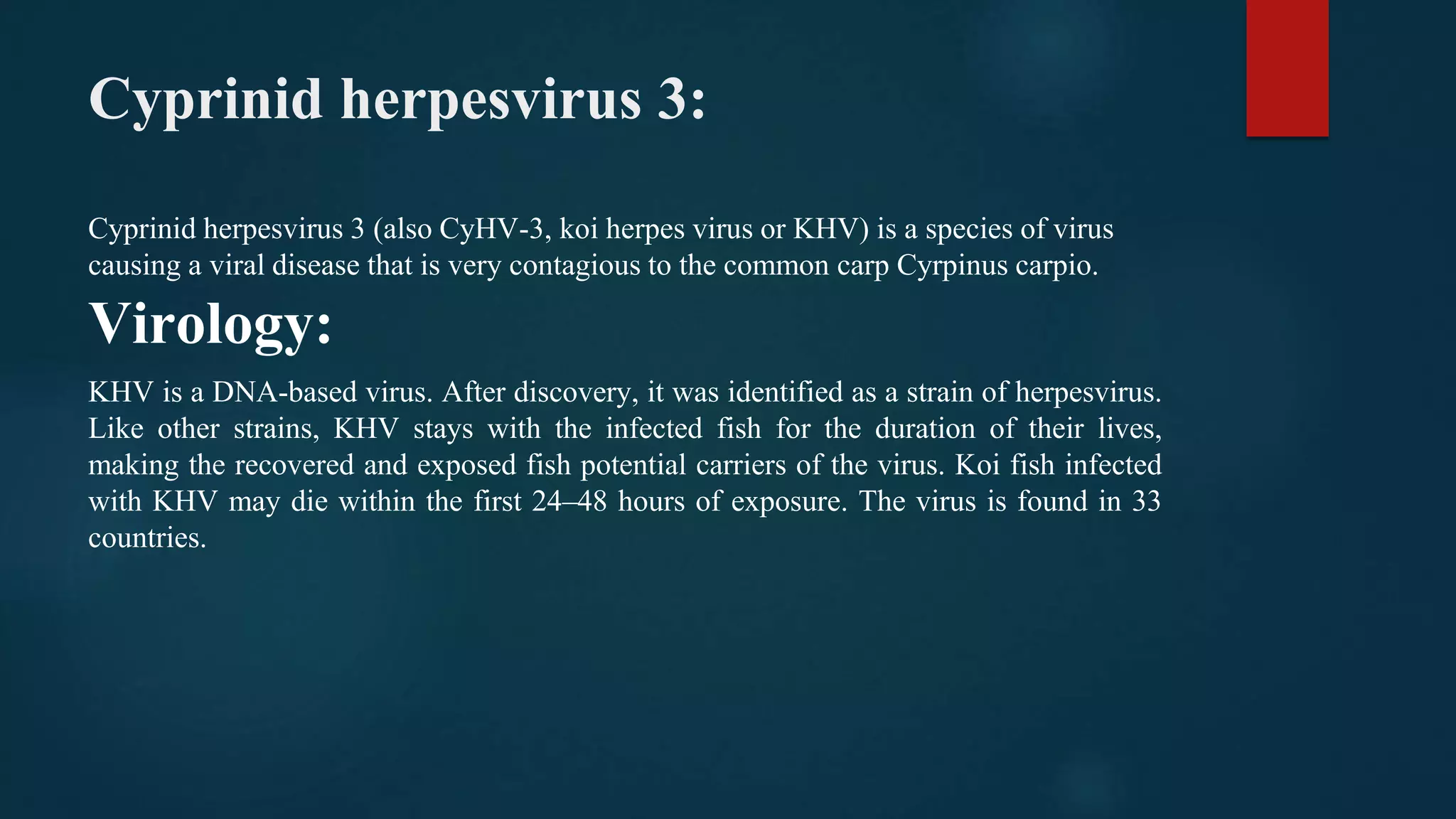 COMMON VIRAL DISEASES OF FISHES AND SHRIMP IN BANGLADESH | PPTX