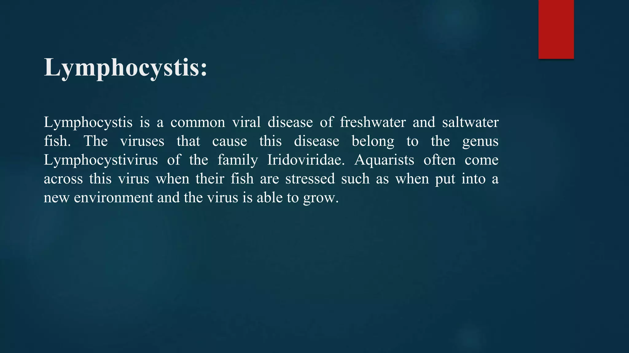 COMMON VIRAL DISEASES OF FISHES AND SHRIMP IN BANGLADESH | PPTX