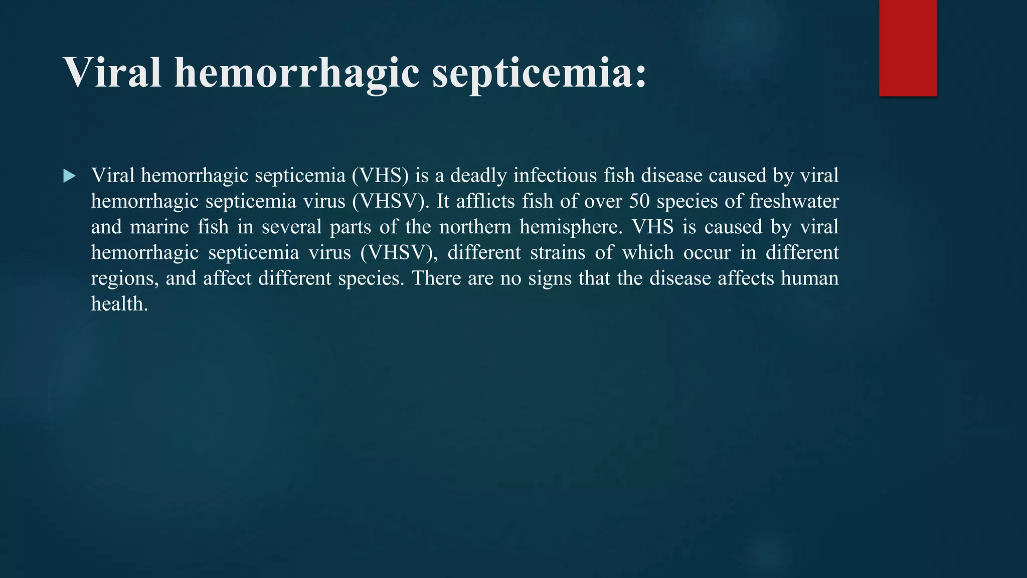 COMMON VIRAL DISEASES OF FISHES AND SHRIMP IN BANGLADESH | PPTX
