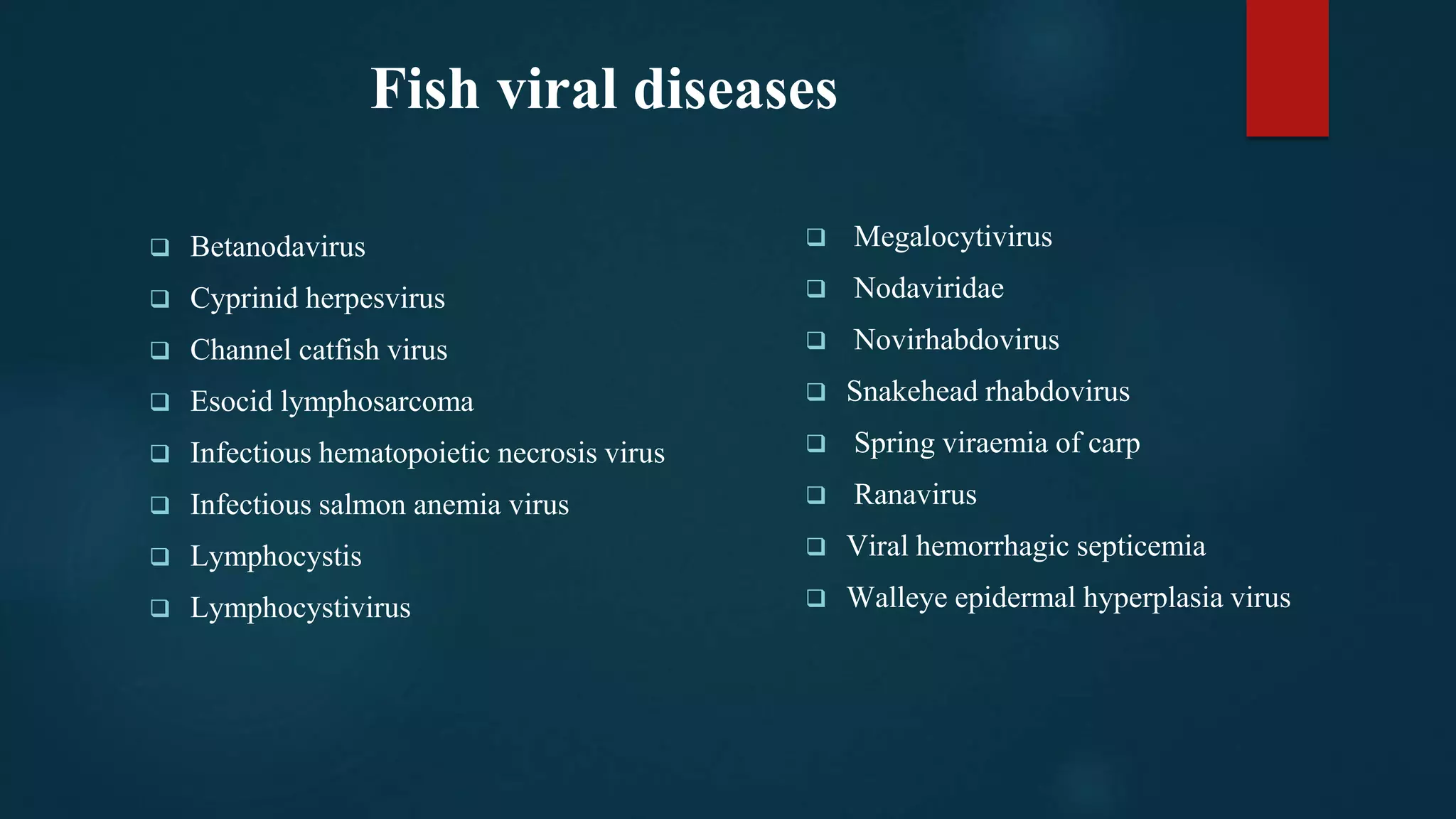 COMMON VIRAL DISEASES OF FISHES AND SHRIMP IN BANGLADESH | PPTX