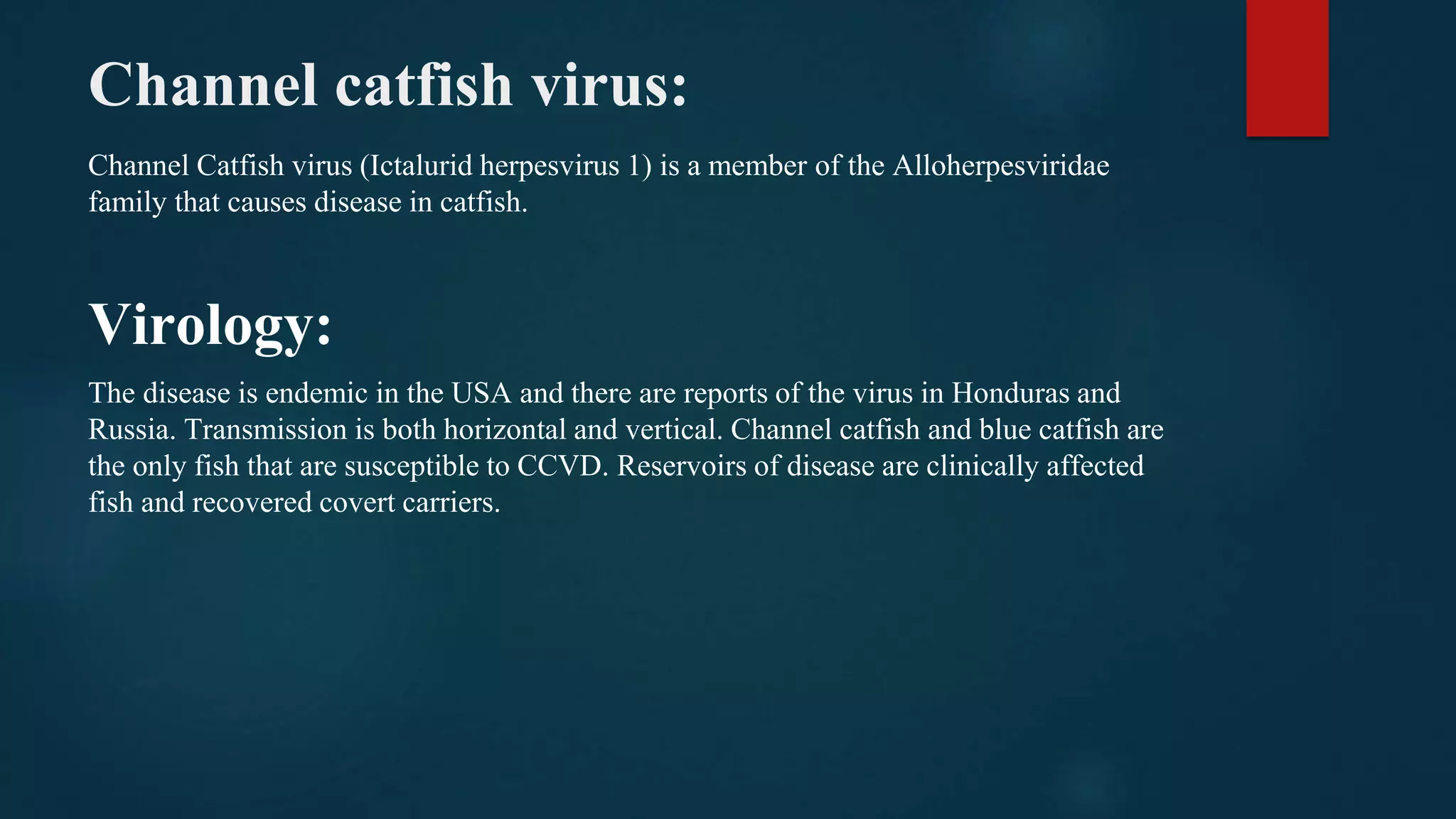 COMMON VIRAL DISEASES OF FISHES AND SHRIMP IN BANGLADESH | PPTX