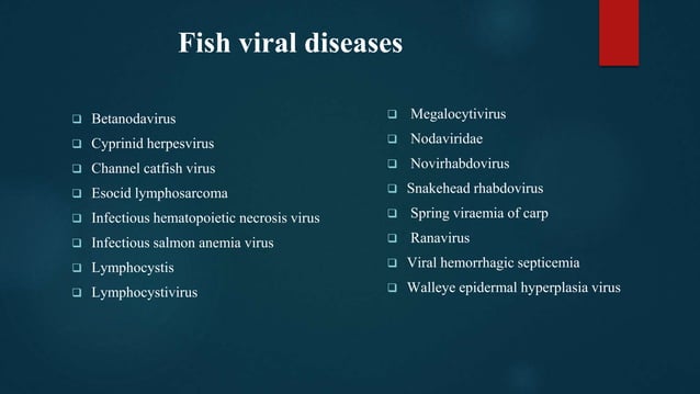 COMMON VIRAL DISEASES OF FISHES AND SHRIMP IN BANGLADESH | PPTX ...